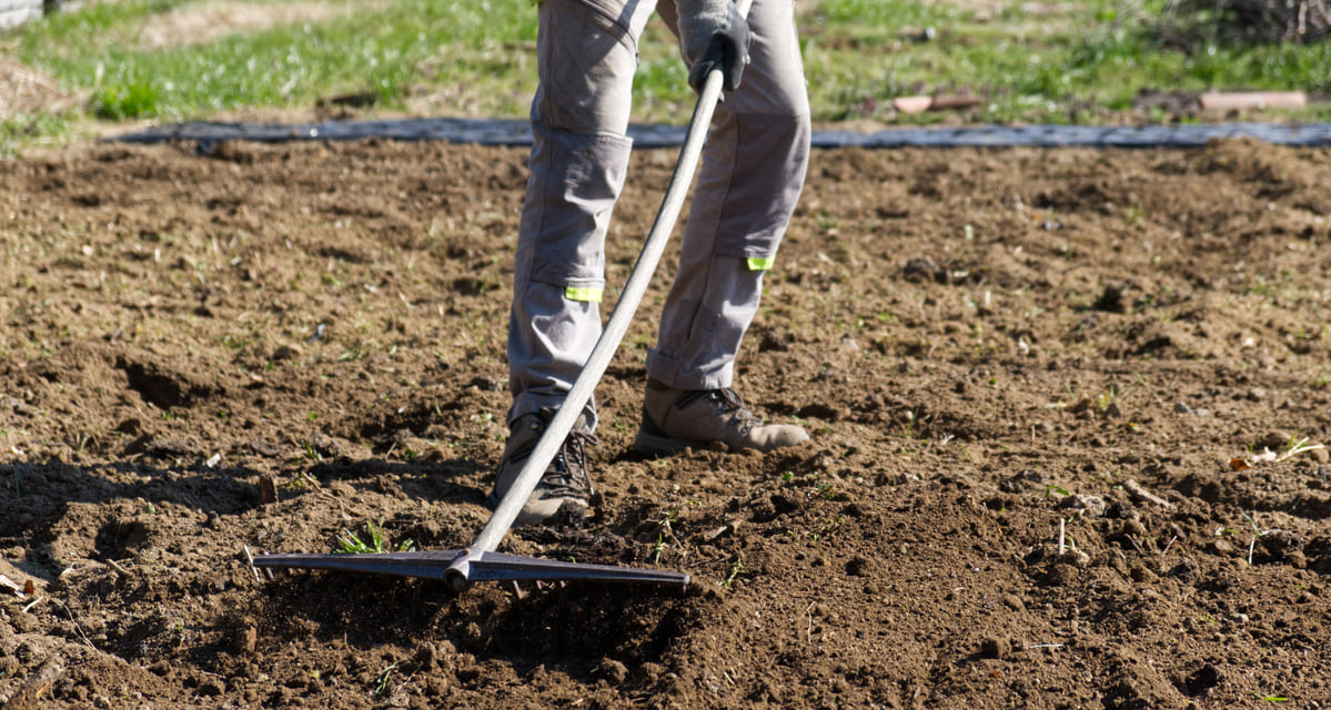 Suelo fértil: 3 claves para conseguirlo - Feroen